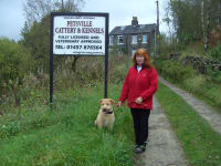 Petsville, Oldham | Catteries - Yell