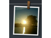 The Reedcutter Inn, Norwich | Pub Restaurants - Yell