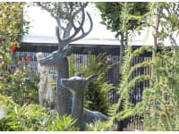 Tenterden Garden Centre, Tenterden | Garden Centres - Yell