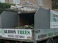 Albion Trees, Bedford | Tree Surgeons - Yell