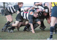 Thurrock Rugby Football Club, Grays | Sports Clubs & Associations - Yell