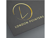 London Pointers, Feltham | Airport Transfers - Yell