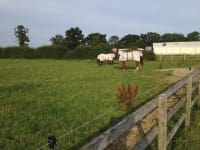 Stratton Field Livery Stables, Bicester | Stables - Yell