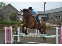 Aberdeen Riding Club, Milltimber | Riding Schools - Yell