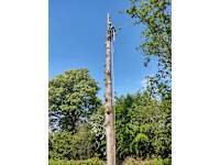 Joshua Stacey Trees and Garden Services | Tree Surgeons - Yell