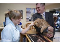Copthorne Veterinary Clinic, Shrewsbury | Vets - Yell