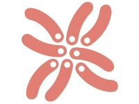 Bang the Table, Bristol | Computer Software Development - Yell