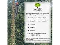 Mccabe Tree Services Ltd, Greenock | Tree Surgeons - Yell