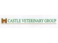 Castle Veterinary Group, Downpatrick | Vets - Yell
