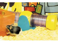 Linlithgow Pet Shop, Linlithgow | Pet Shops - Yell