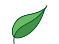 The Little Leaf Co, Newport Pagnell | Gardeners - Yell