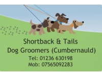 Cumbernauld Dog Groomer, Glasgow | Dog & Cat Grooming - Yell
