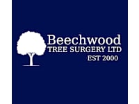 Beechwood Tree Surgery Limited, Craigavon | Tree Surgeons - Yell