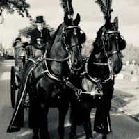 Maple Leaf Carriage Co, Hailsham | Horse Drawn Carriages - Yell