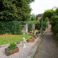 Bucklow Manor Care Home, Knutsford | Nursing Homes - Yell