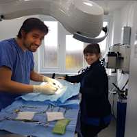 Natterjacks Vet, Poole | Vets - Yell