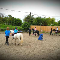 Hartwell Riding Stables Ltd, Aylesbury | Riding Schools - Yell