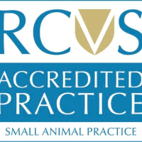 Kirks Vets, Sleaford | Vets - Yell