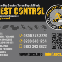 Total Pest Control Solutions, Hayes | Pest & Vermin Control Services - Yell