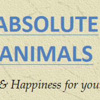 Absolute Animals, Spalding | Dog Trainers - Yell