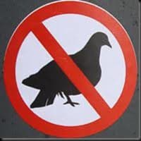 Stop the Pigeon, Stanford-Le-Hope | Pest & Vermin Control Services - Yell