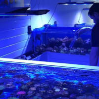 Fish Tank Ltd, Rugby | Aquarium & Pond Supplies - Yell