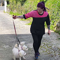 Fran's Best Friend- Dog Training, St. Austell | Dog Trainers - Yell