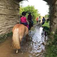 Goonbell Riding Centre, St. Agnes | Riding Schools - Yell
