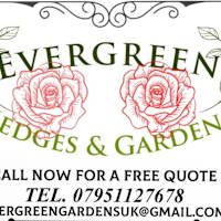 Evergreen Hedges & Gardens, Guildford | Tree Surgeons - Yell