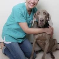 Notting Hill Vet, London | Vets - Yell