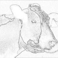 Ty Poeth Free Range Meats, Pontypool | Poultry & Game Farmers ...