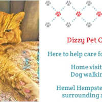 Dizzy Pet Care, Hemel Hempstead | Pet Services - Yell