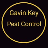 Gavin Key Pest Control, Evesham | Pest & Vermin Control Services - Yell