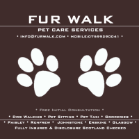 Fur Walk, Glasgow | Dog Walkers - Yell