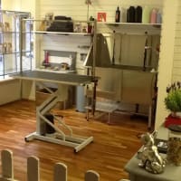 Button & Bones, Alton | Dog & Cat Grooming - Yell