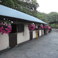 Sleepy Hollow Pet Crematorium, Llanelli | Pet Crematorium - Yell