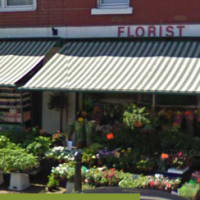 Roys Florist, Gosport | Florists - Yell