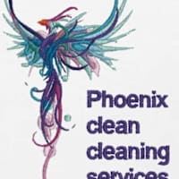 Phoenix Cleans Cleaning Services | Domestic Cleaners - Yell