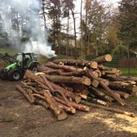 Tree Tops Logging, Perth | Tree Surgeons - Yell