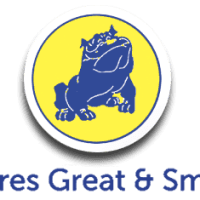 Creatures Great & Small, Billericay | Dog & Cat Grooming - Yell