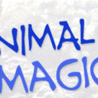 Animal Magic, Margate | Pet Shops - Yell