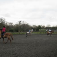 Laris Farm Equestrian, Woking | Riding Schools - Yell