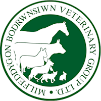 Bodrwnsiwn Veterinary Group, Holyhead | Vets - Yell