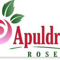 Apuldram Roses, Chichester | Retail Horticultural Nurseries - Yell