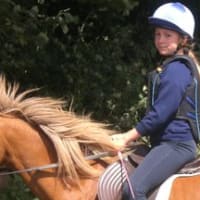 Green Farm Riding Stables, Swansea | Riding Schools - Yell