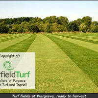 Warfield Turf, Bracknell | Turf Laying - Yell