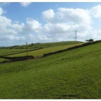 Salter Royd Riding School, Bradford | Riding Schools - Yell