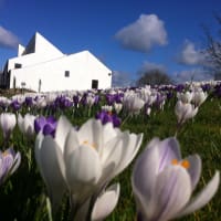Parc Gwyn Crematorium, Narberth | Crematoria & Cemeteries - Yell