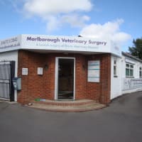 Drove Veterinary Hospital, Marlborough | Vets - Yell