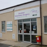 Drove Veterinary Hospital, Swindon | Vets - Yell
